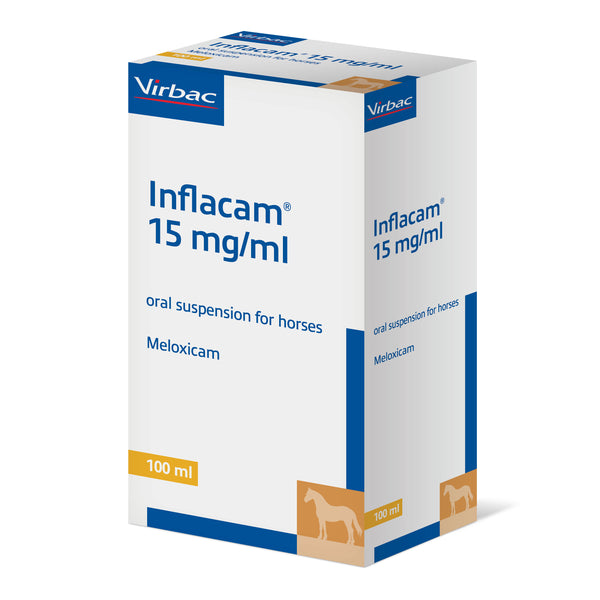 Inflacam 15mg/ml Oral Suspension horse (prescription only) – Vetscriptions