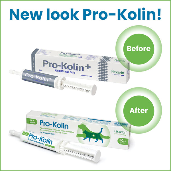 Protexin Pro Kolin Dog/cat 15ml – Vetscriptions