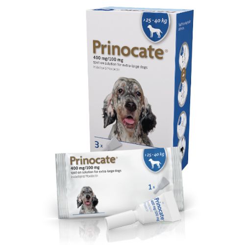 Prinocate Spot-On Solution for Dogs (Prescription Required) – Vetscriptions