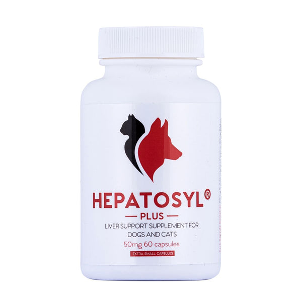 Hepatosyl Plus Capsules – Vetscriptions