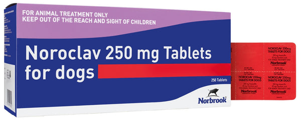 Noroclav Tablets - Amoxicillin (Prescription Required) – Vetscriptions