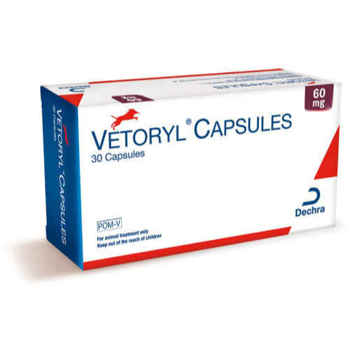 Vetoryl Capsules (Prescription Required) – Vetscriptions