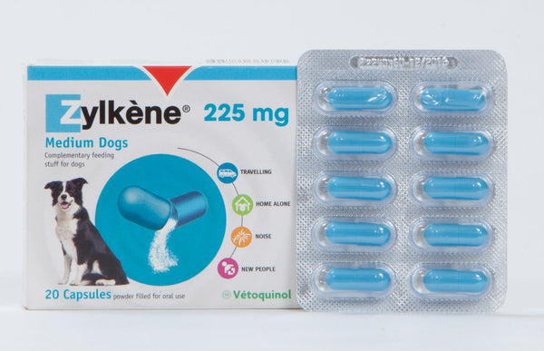 Zylkene Capsules – Vetscriptions