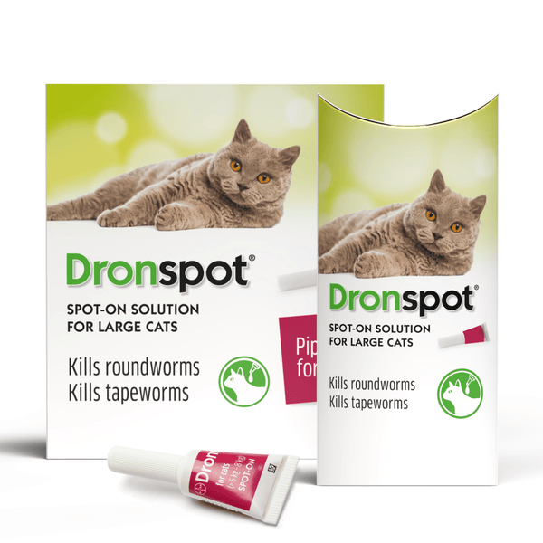 Dronspot Spot-on Solution for Cats – Vetscriptions